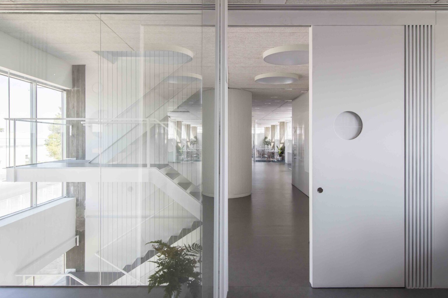 Prodotti e soluzioni per l’isolamento termico ed acustico e il comfort indoor - Celenit ...